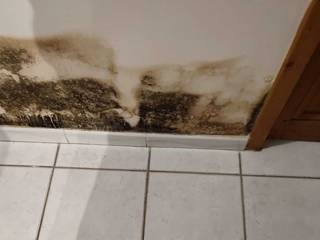 Moisissure sur les murs : Le guide - Mon batiment