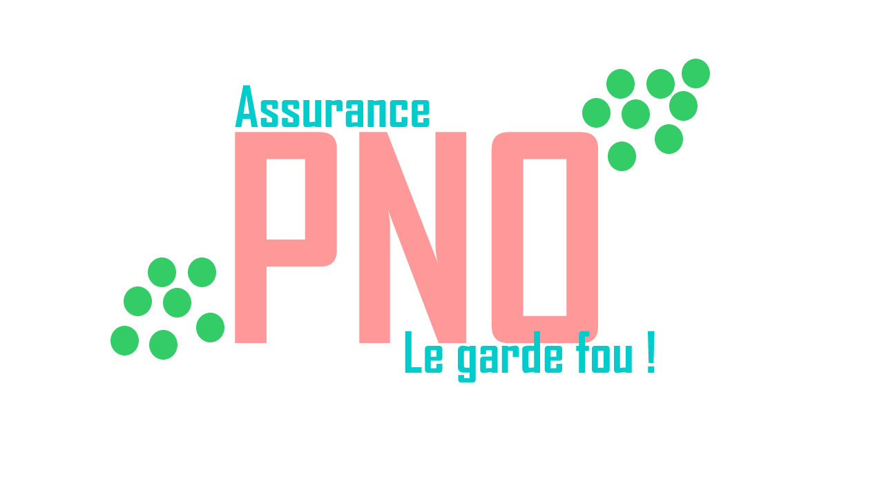 Propriétaires bailleurs : L'importance d'une bonne assurance PNO - Mon ...
